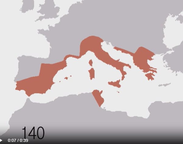 The Roman Empire Timeline: An Animated Journey Through Antiquity