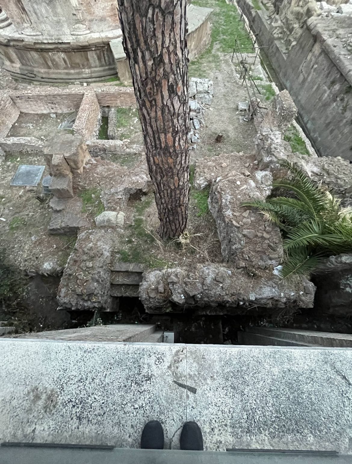 Gaius Julius Caesar - Discover the Spot of Caesar's Assassination in 44 BC