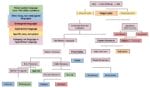 Latin Language - The Great Impact of the Roman Empire