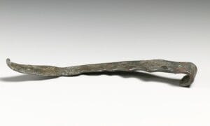 Roman Agriculture: Top 5 Roman Agricultural Practice