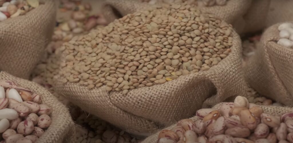 10 Foods That Fed The Roman Empire For Years (Not Pizza or Pasta ...
