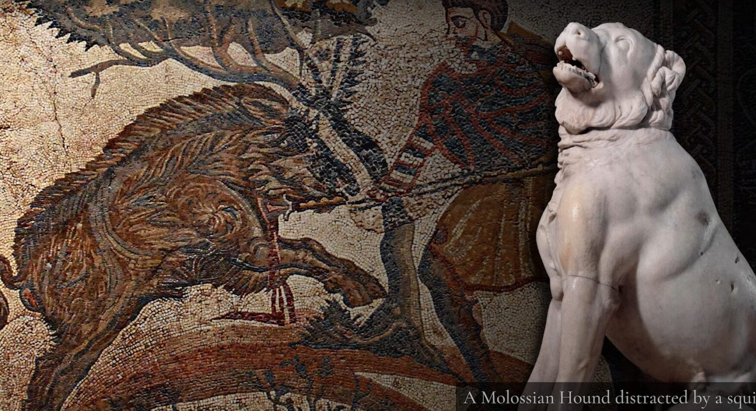 Do Roman dog breeds still exist? - Roman Empire