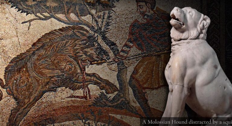 Do Roman dog breeds still exist? - Roman Empire