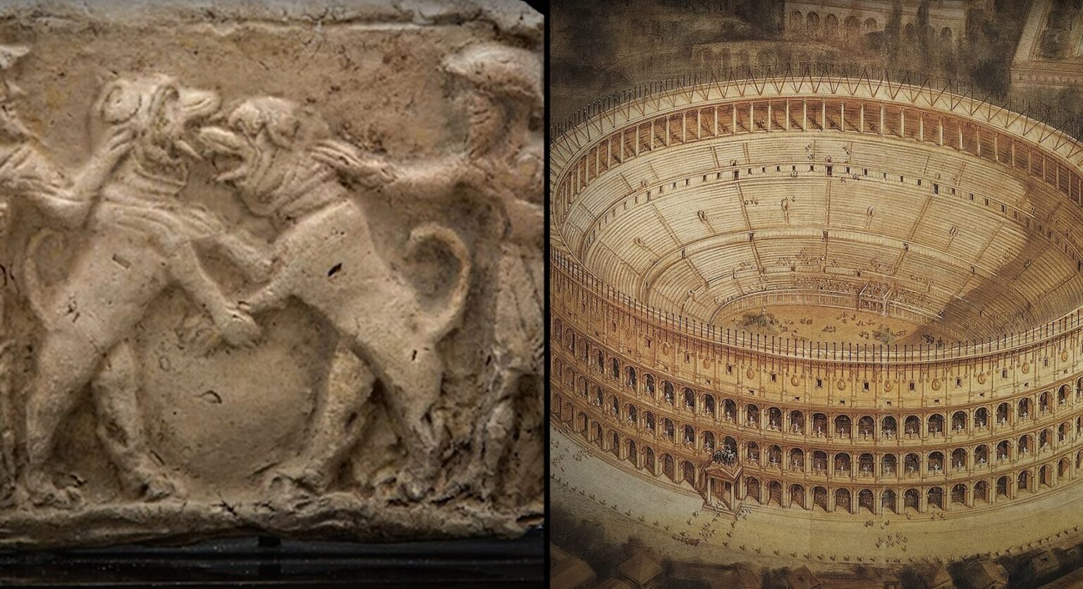 Do Roman dog breeds still exist? - Roman Empire